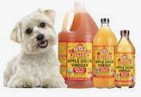 Health Benefits of Apple Cider Vinegar for Dogs! – bobzillaNP